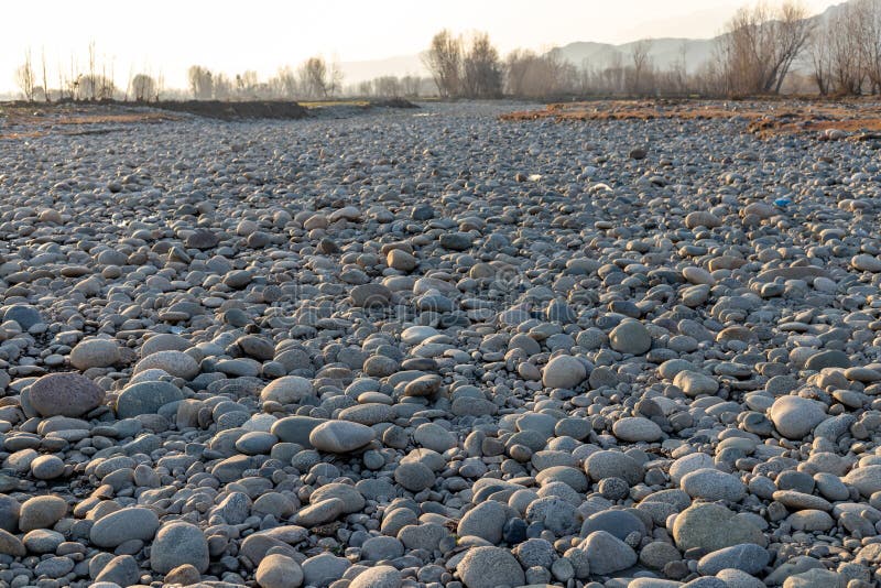 Dry River Pebbles and Stones in the Winter Stock Photo - Image of ...