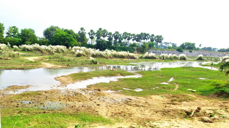 A dry river pic in india. stock photo. Image of gate - 198554832