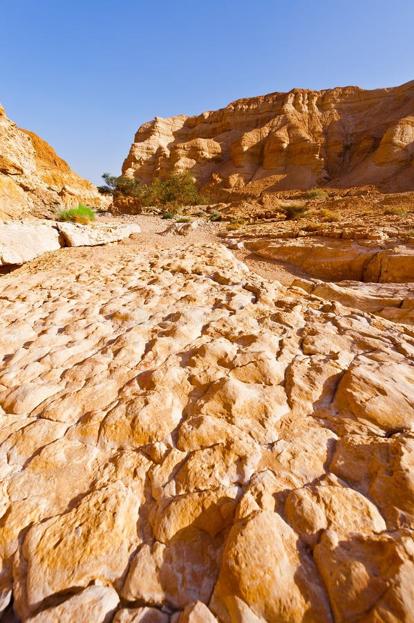 Dry Riverbed stock image. Image of land, middle, desert - 37643853