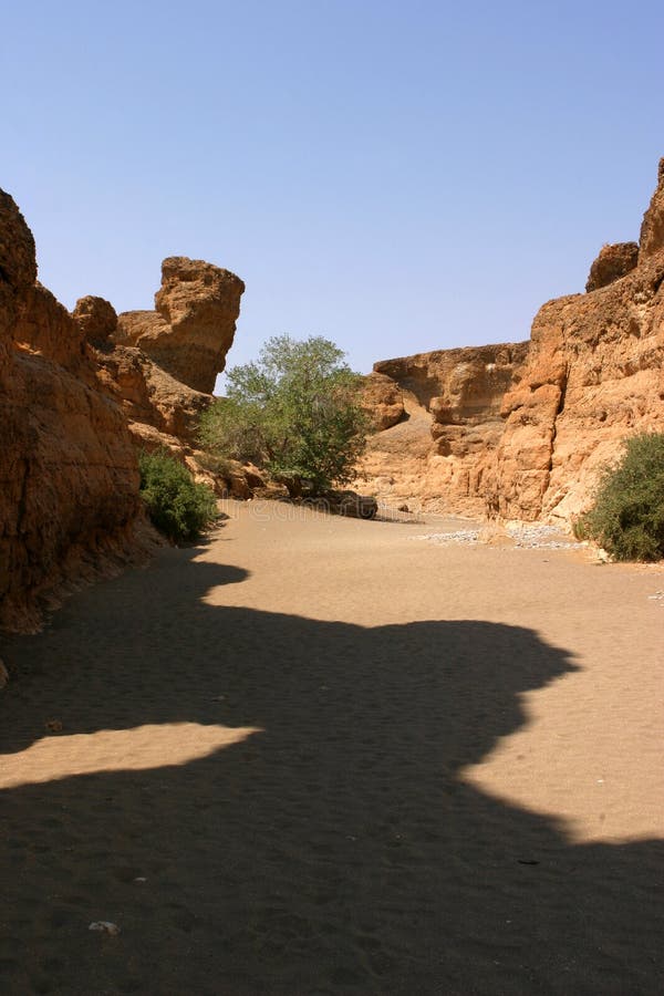 Dry riverbed in a desert stock image. Image of wilderness - 23015539