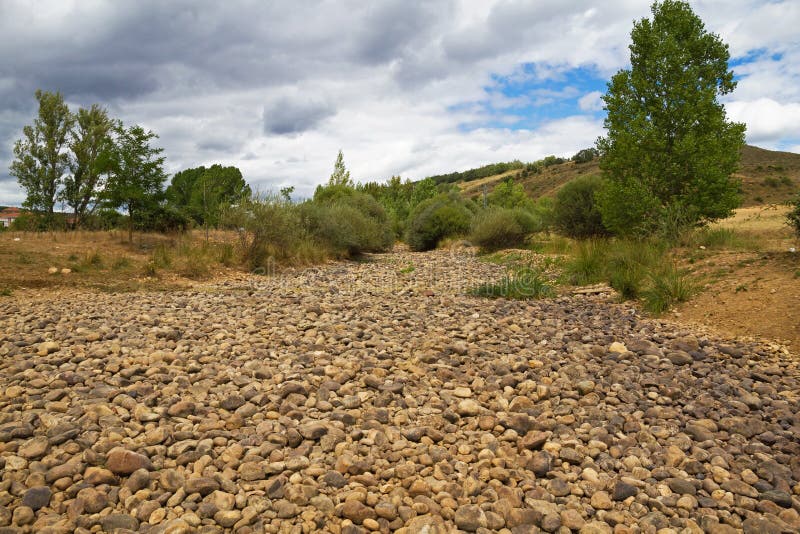 Dry riverbed in summer stock image. Image of riverbed - 28656459