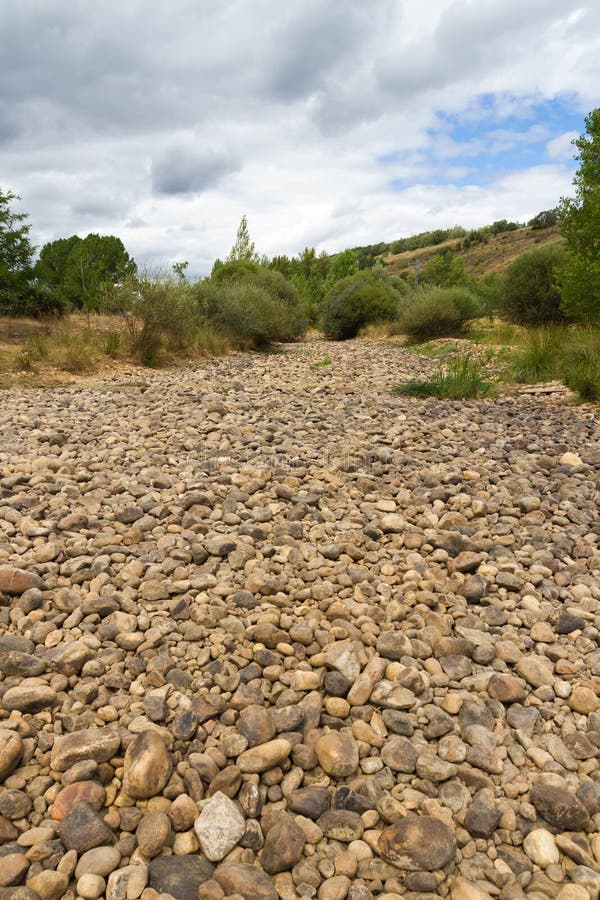 Dry Riverbed stock photo. Image of gravel, field, poplars - 61850548