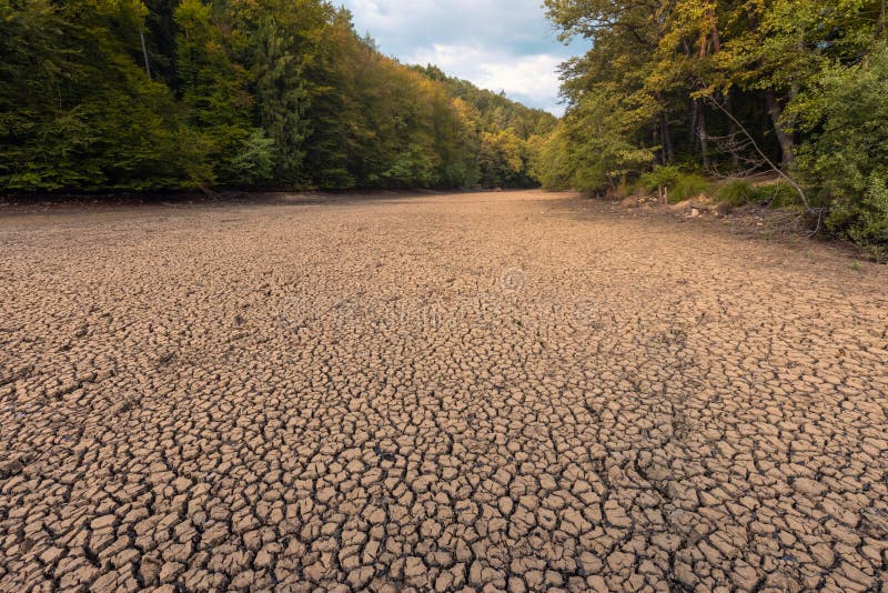 545 Cracked Riverbed Stock Photos - Free & Royalty-Free Stock Photos ...