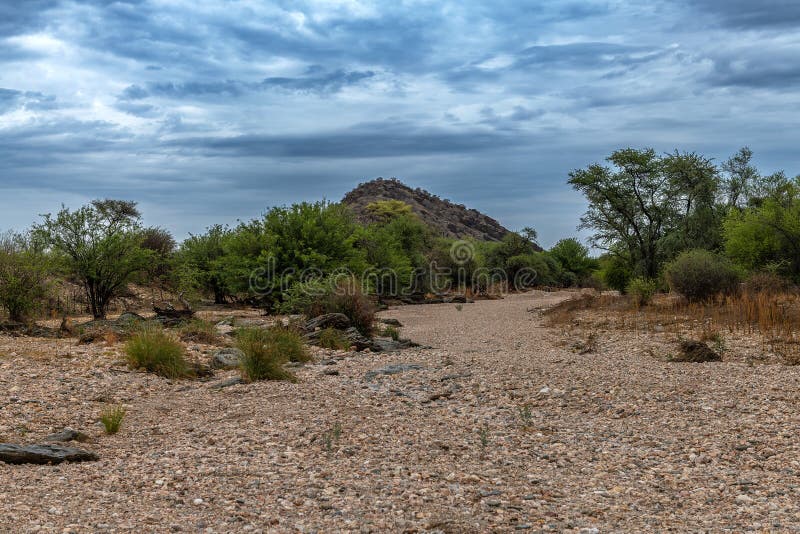 Dry Riverbed of the Dobra River North of Windhoek, Namibia Stock Photo ...