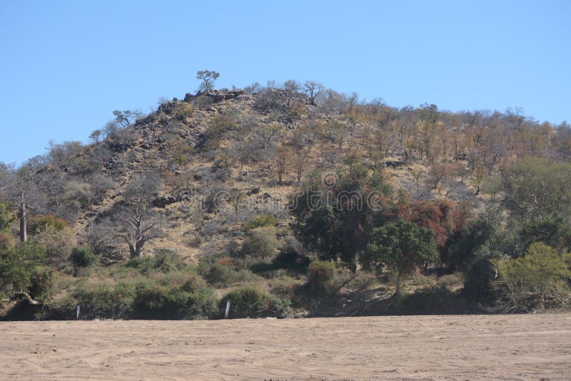 Dry Riverbed of the Mighty Limpopo River. Stock Photo - Image of tree ...