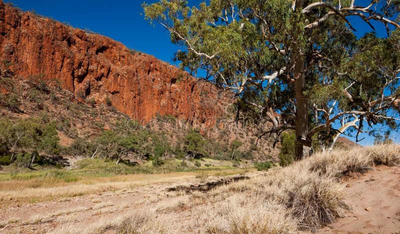 Riverbed Running Dry (South Africa) Stock Photo - Image of south ...