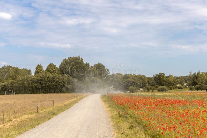Dry Road in the Middle of the Field. Stock Image - Image of earth ...