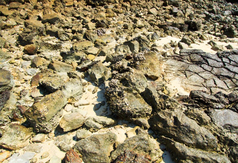 Dry Rock on the Beach in Thailand Stock Photo - Image of abstract ...