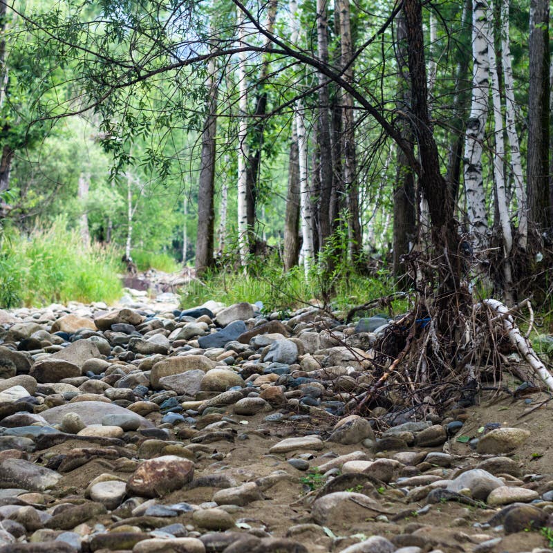 Dry Riverbed In The Altai Mountains Stock Image - Image of colorful ...