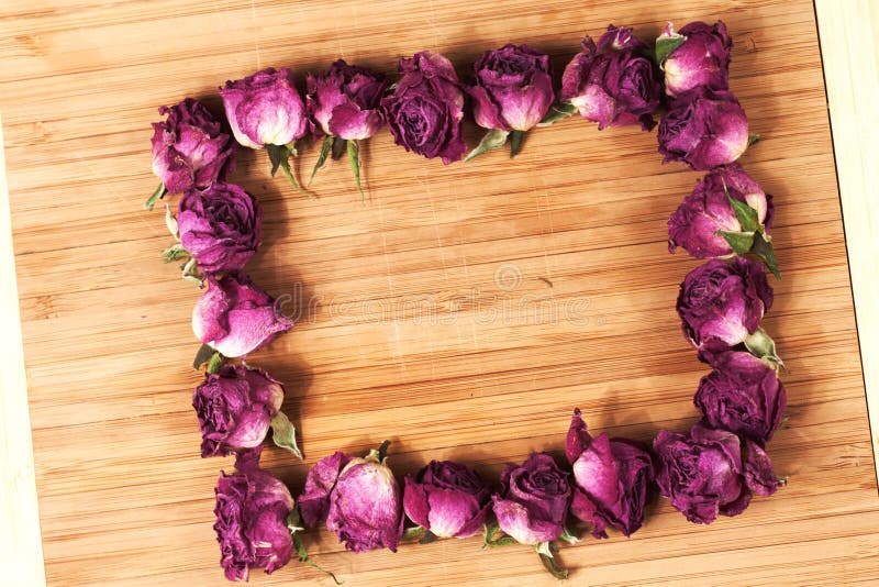 Dry rose stock image. Image of flora, idyllic, gardening - 16791423