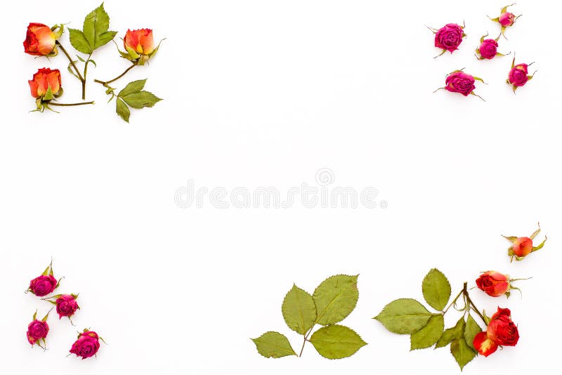 33+ Dry rose frame Free Stock Photos - StockFreeImages