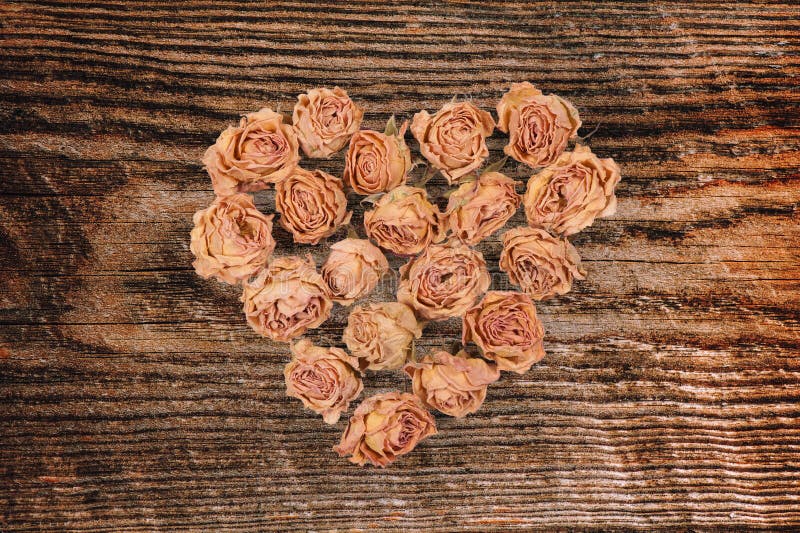 Dry Rose Flowers Heart Isolated on Wood Stock Image - Image of ...