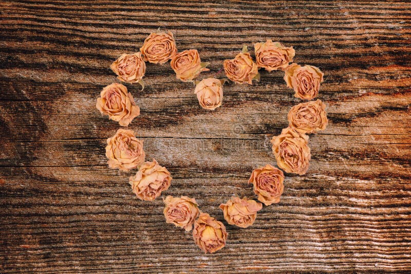 Dry Rose Flowers Heart on Wood Panel Stock Photo - Image of gift, love ...