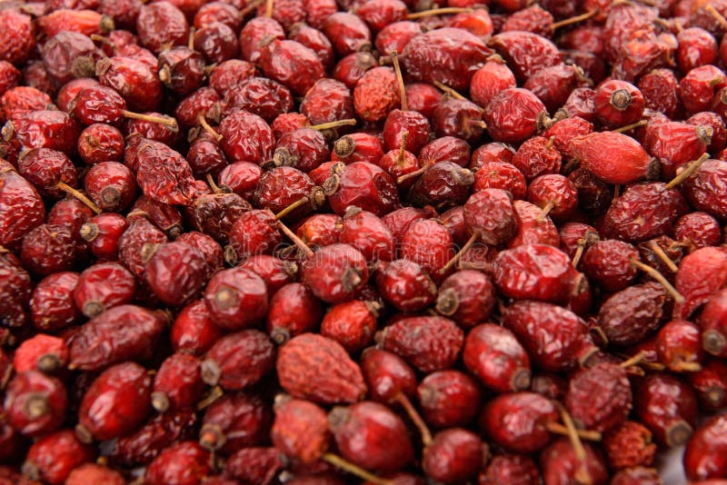 Dry rose hips stock image. Image of organic, orange, treatment - 39145773