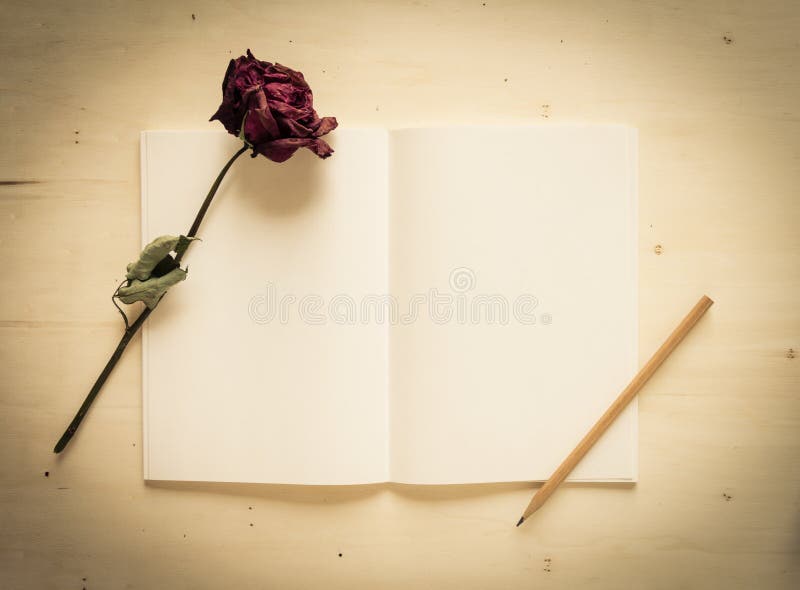 Dry Rose and Notebook Paper with Pencil Stock Image - Image of leave ...