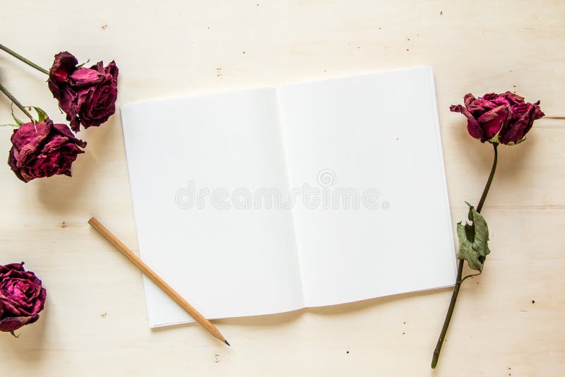 Dry Rose and Notebook Paper with Pencil Stock Photo - Image of delicate ...