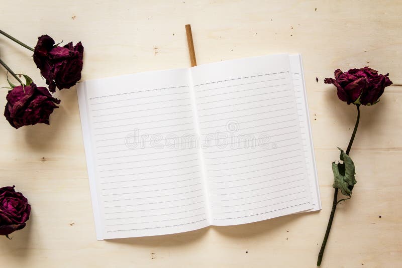 Dry Rose and Notebook Paper with Pencil Stock Image - Image of frame ...