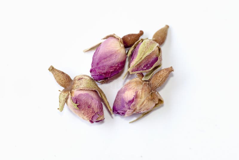 Dry Rose Tea Leaf stock image. Image of food, healthy - 13312179