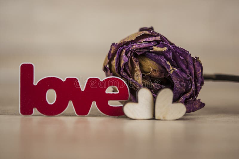 Dry Rose and Word Love with Hearts on Wood Table Stock Photo - Image of ...