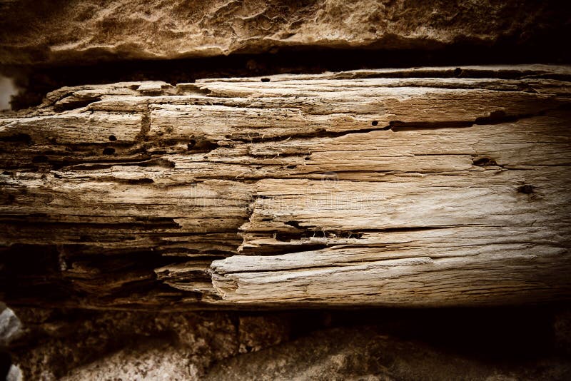 315 Rotted Wood Texture Photos - Free & Royalty-Free Stock Photos from ...