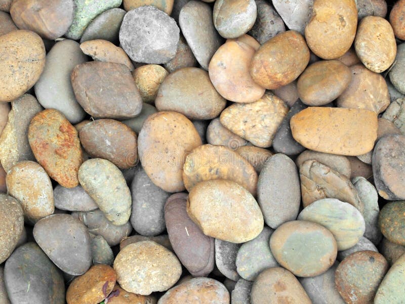 Dry round reeble stones stock photo. Image of exotic - 62561170