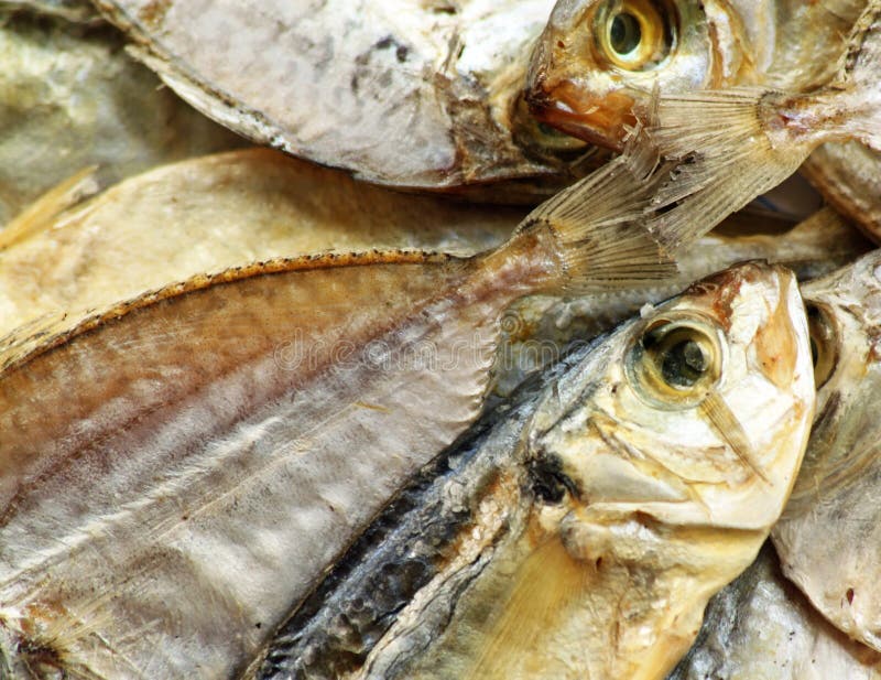 Dry Salted Fish stock image. Image of seafood, food, slat - 37763141