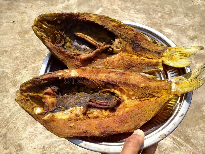 Dry Salted Mugil Cephalus Fish on Plate Stock Image - Image of fish ...