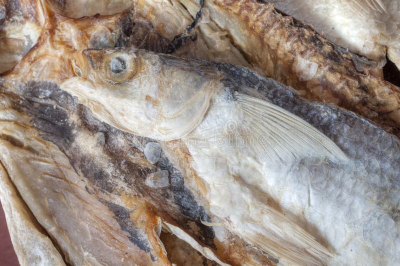 Dry salted mullet stock photo. Image of slit, fish, horizontal - 50624238