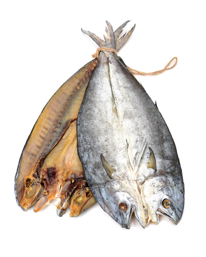 Fish Dried Stock Illustrations – 4,690 Fish Dried Stock Illustrations ...