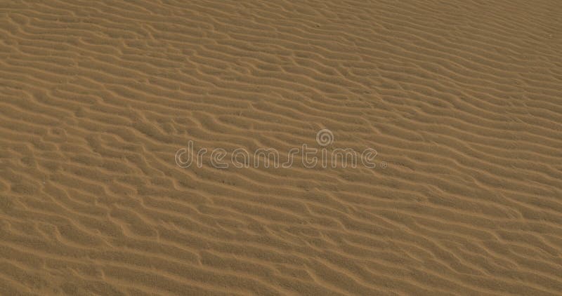 Dry sand in the desert stock video. Video of adventure - 179897455