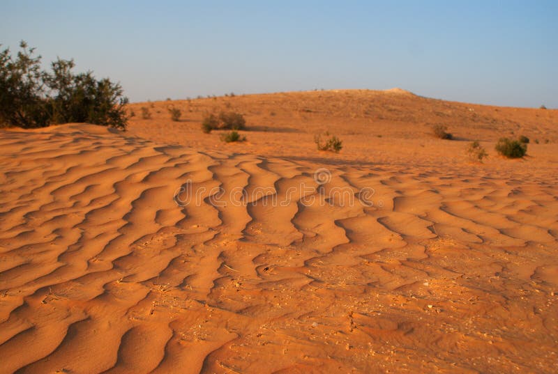 Dry Sand Desert in Middle East Stock Image - Image of tourist, journey ...