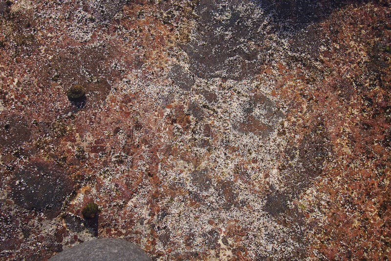 Red Dry Rock Texture Background Stock Photo - Image of dirty, concrete ...