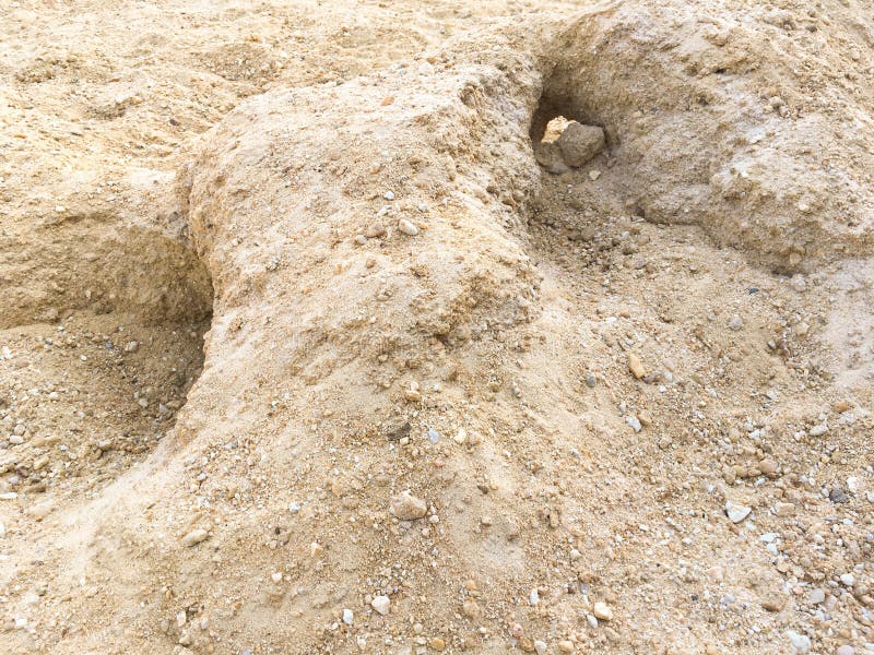 Dry sand texture stock image. Image of nature, dirty - 93922981