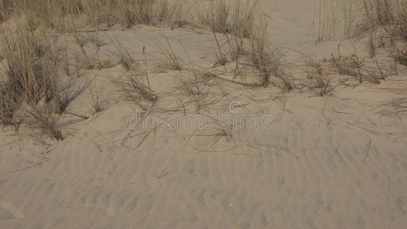 A dry sandy desert stock video. Video of barren, arid - 138783071