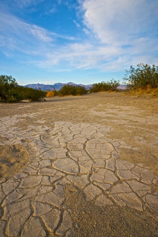 Dry Sandy Ground stock photo. Image of greenery, arid - 24828608