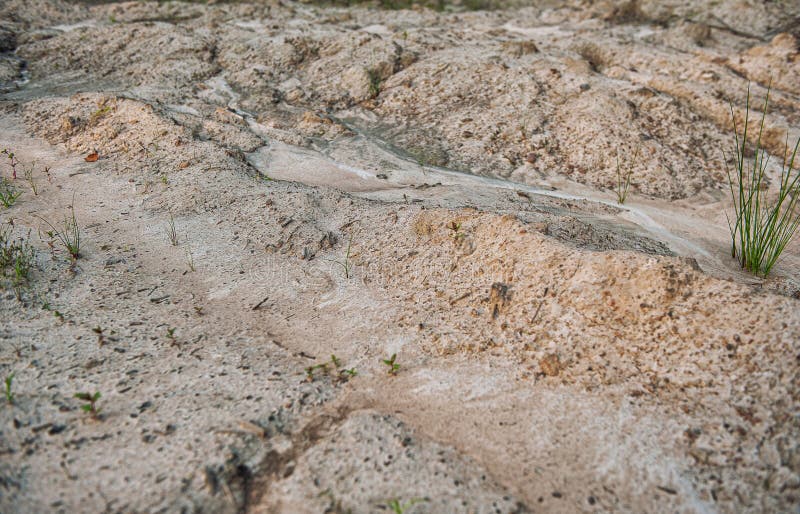 Dry, Sandy Ground with Rough Texture and Organic Patterns Stock Photo ...
