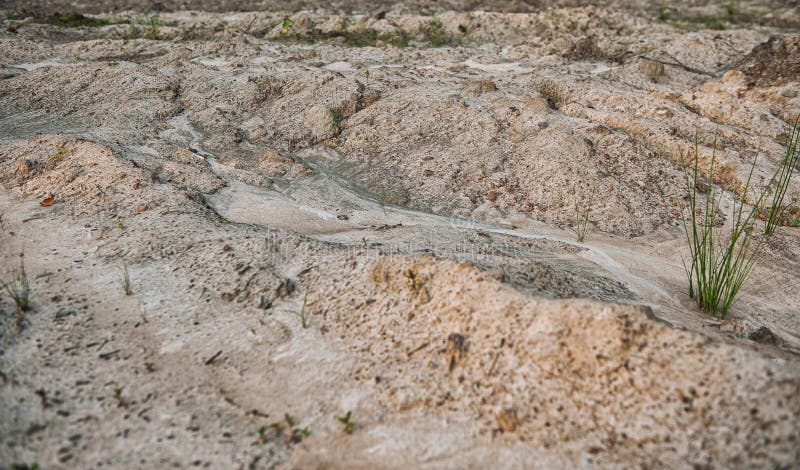 Dry, Sandy Ground with Rough Texture and Organic Patterns Stock Photo ...