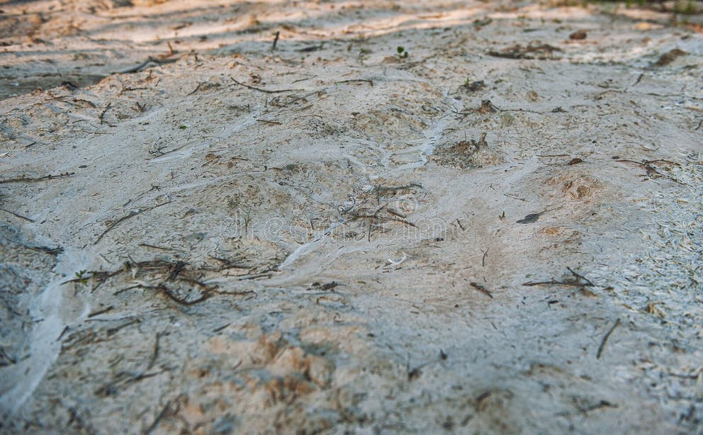 Dry, Sandy Ground with Rough Texture and Organic Patterns Stock Image ...