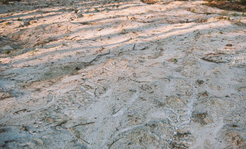 Dry, Sandy Ground with Rough Texture and Organic Patterns Stock Photo ...