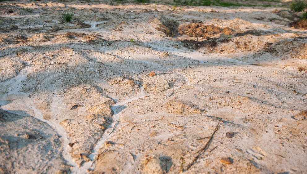 Dry, Sandy Ground with Rough Texture and Organic Patterns Stock Image ...