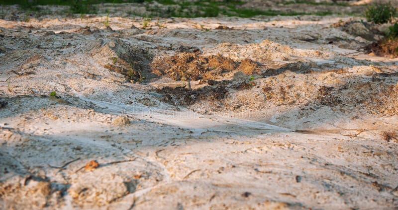 Dry, Sandy Ground with Rough Texture and Organic Patterns Stock Image ...