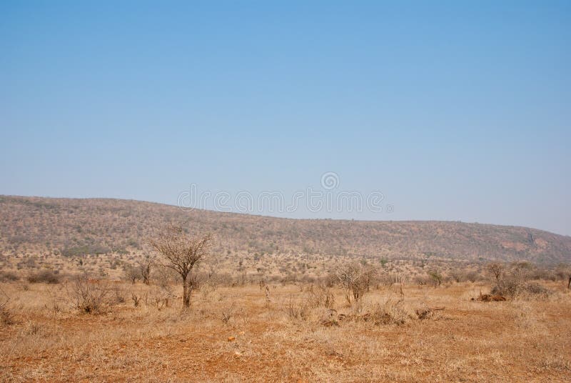 Dry savannah stock photo. Image of tropics, hill, savanna - 52435722