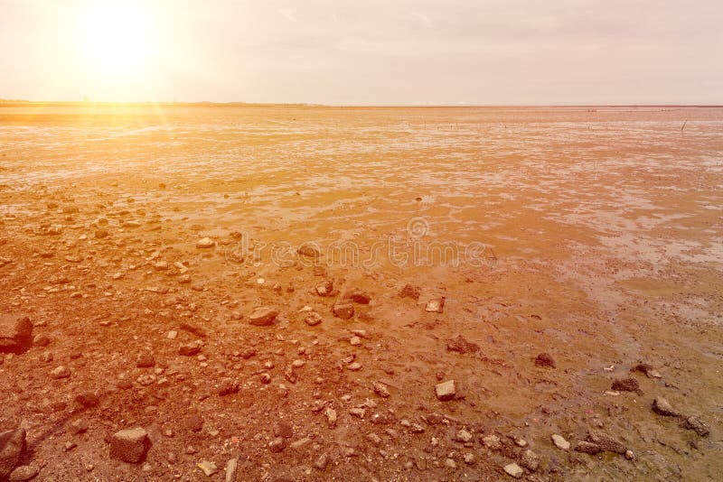 Dry Sea Arid Land Effect from Spring Tides with Sunny Sky Stock Image ...
