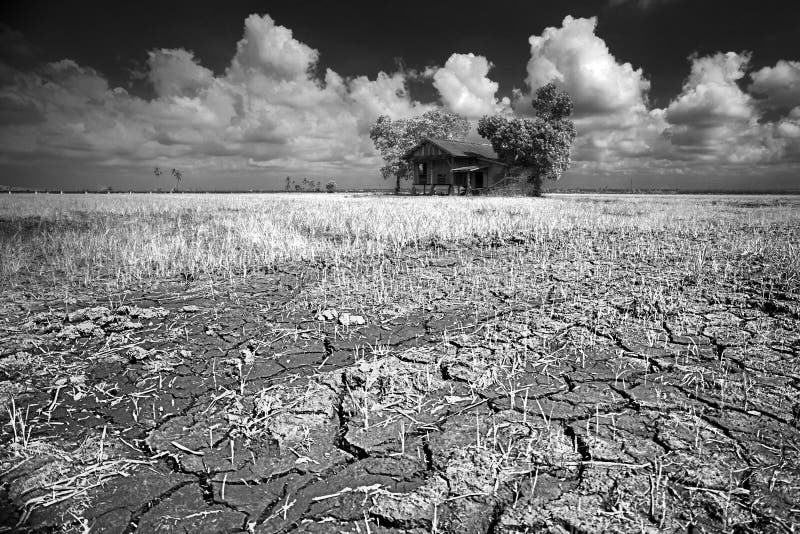 Dry season stock image. Image of inverted, dainty, minute - 49169375