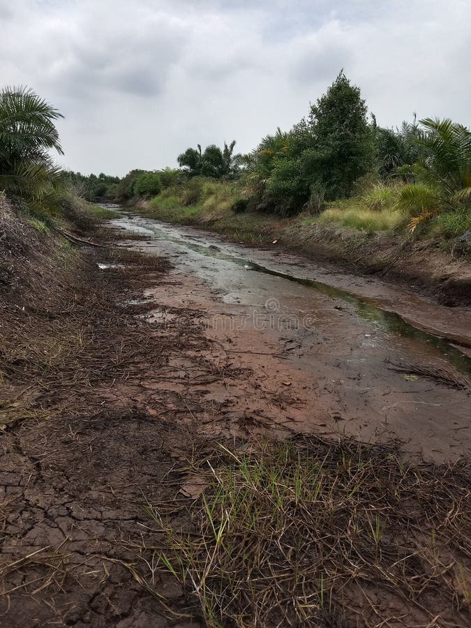 Dry season river drought stock image. Image of rivers - 289622399