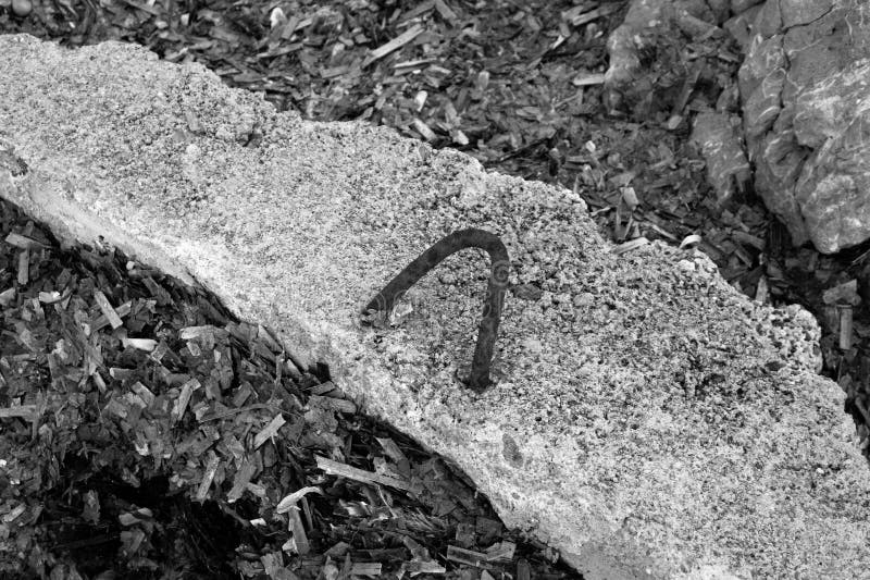 Dry Seaweed Texture with Concrete Artifact Stock Photo - Image of dark ...