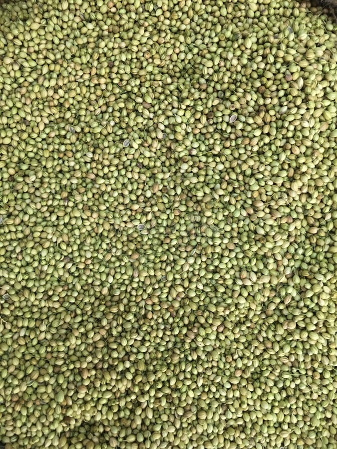 Dry Seeds for Food stock image. Image of ingredient, grain - 87609467