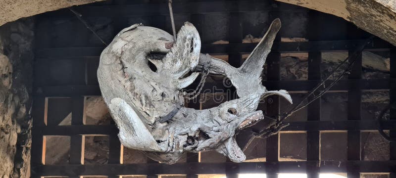 Dry Shark Hanging Above the Gate in Bregenz, Austria Stock Image ...