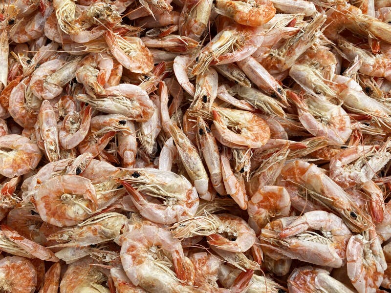 Dry shrimp for cooking stock image. Image of background - 263990587