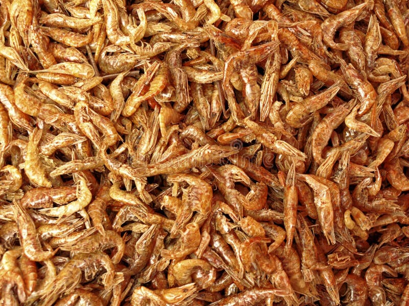 Dry shrimps stock image. Image of crustacean, cuisine - 27059377